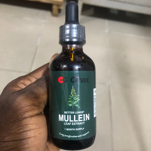 GINAX Mullein Liquid Drops with Chlorophyll (60ml, 2800mg Mullein, 100 ...